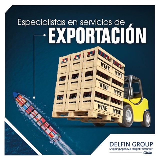 Delfin Group