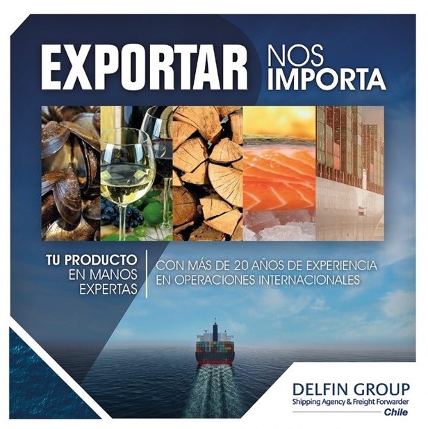 Delfin Group